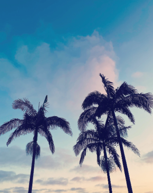 MOTHERS: Candy Harris – ansea